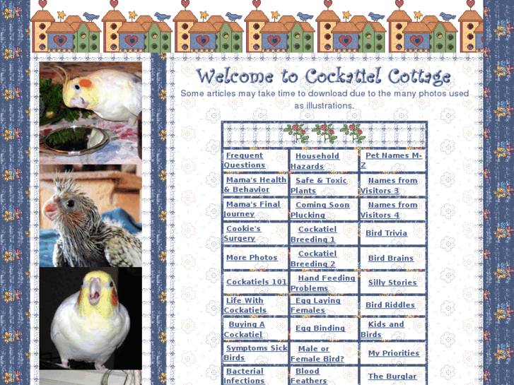 Cockatielcottage Net Cockatiel Cottage Cockatiels Basic Care And