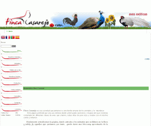 Fincacasarejo.com: Finca Casarejo.com - Inicio