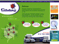 Citybug.co.za: Citybug transport shuttle services transfer services bus ...