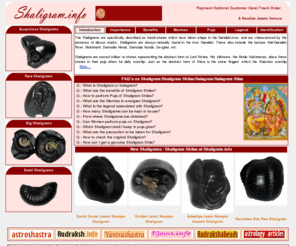 Shaligram.info: Shaligram, Shaligram Shilas, Salagram, Salegram ...
